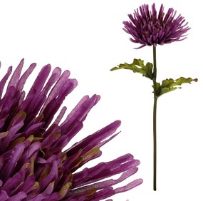 Chryzantéma jednohlavá, barva tmavě fialová KU4337