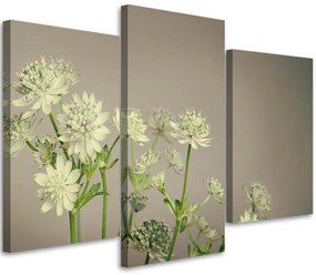 Gario Obraz na plátně Polní květiny - 3 dílný Rozměry: 60 x 40 cm