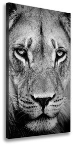 Wallmuralia Vertikální Vertikální Foto obraz na plátně do obýváku Portrét lva 50x100