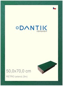 DANTIK rámeček 50x70 | RETRO zelená (Plexi Čiré)