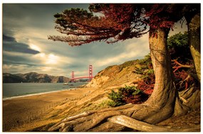 Obraz na plátně - Golden Gate Bridge 1922FA (100x70 cm)