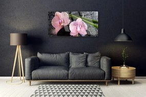 Obraz na skle Květiny Orchidej Kameny Zen 100x50 cm