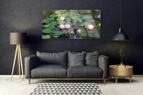akrylový obraz Vodní Lilie Rybník Příroda 120x60 cm