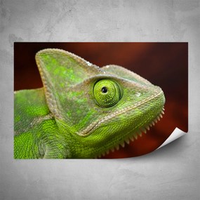 Plakát - Hlava chameleóna (60x40 cm) - PopyDesign