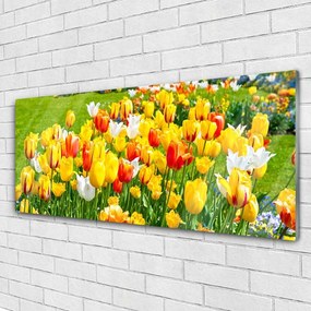 Plexisklo-obraz Tulipány Květiny Příroda 125x50 cm