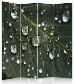 Ozdobný paraván Zelené listy kapky vody - 145x170 cm, čtyřdílný, obustranný paraván 360°