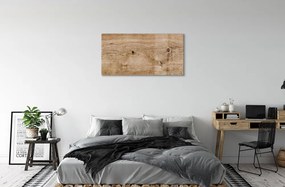 akrylový obraz Plank dřeva 100x50 cm