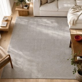 Světle šedý koberec 160x230 cm Loft – Universal