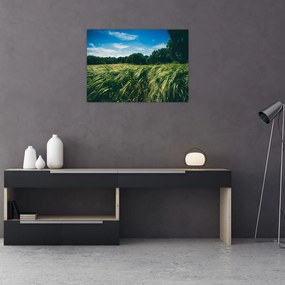 Skleněný obraz louky a lesa (70x50 cm)