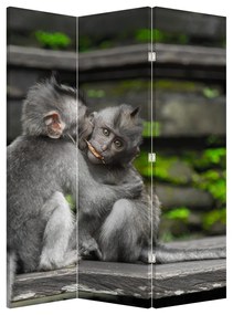 Paraván - Opička (126x170 cm)