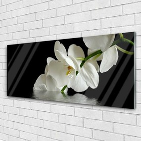Plexisklo-obraz Orchidej ve Vodě Květiny 125x50 cm