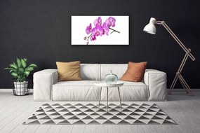 Obraz na plátně Vstavač Orchidej Květiny 140x70 cm