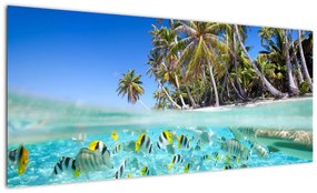 Obraz tropického moře (100x40cm)