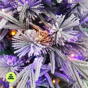 Borovice Bílá 250 LED 150 cm