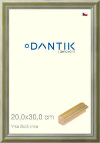 DANTIK rámeček 20x30 | Y-ka žlutá linka (Sklo Čiré)