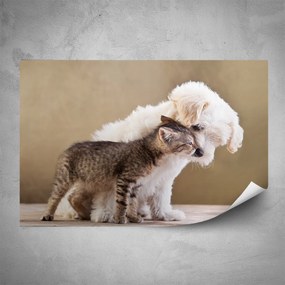 Plakát - Kočička a pejsek (60x40 cm) - PopyDesign