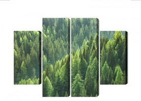 Vícedílný obraz Zelení Lesa Nedostatek Nedostatek Přírodní plátno 160x120