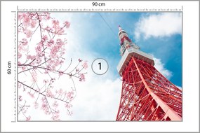 Fototapeta Tokijská Věž Na Obloze Hladký vinyl 90x60