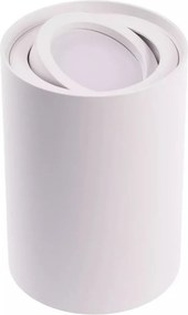 T-LED Bílé přisazené výklopné svítidlo kulaté GU10 105516