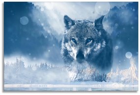 Malvis ® Obraz vlk v zimě Velikost (šířka x výška): obdélník - 120x80 cm
