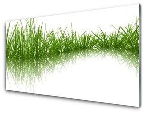 Plexisklo-obraz Tráva Příroda Rostlina 120x60 cm