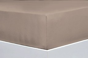 Florella Prostěradlo Avance Jersey Elastan Koreander, 140-160x200-220 cm