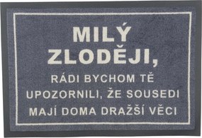 Rohožka Milý zlodeji 40x60 cm – na von aj na doma, 40x60, šedá, GDmats