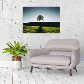 Skleněný obraz přírody - strom (70x50 cm)