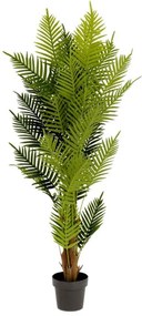 OnaDnes -20% Umělá květina Kave Home Fern palm 150 cm