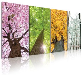 Malvis ® Obraz stromy v ročních obdobích Velikost: 100x50 cm
