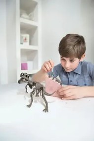 4M Dinosauří kostra - REX / od 8 let