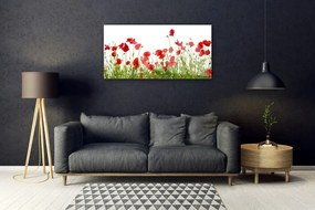 Obraz na skle Louka Máky Květiny Příroda 125x50 cm