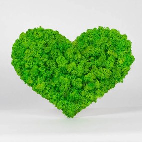 Mechový obraz | 33x25 cm | Srdce - světle zelená