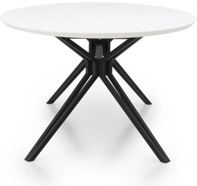 TENZO Oválný jídelní stůl CIBUZ 240x120cm 9003704910