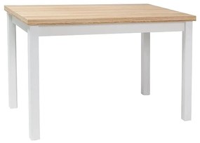 Jídelní stůl Adam 100 x 60 cm, dub / bílá