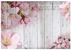 Fototapeta - Květ jabloně 250x175 + zdarma lepidlo