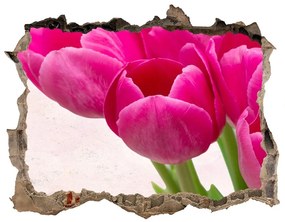 Wallmuralia Samolepící díra na stěnu Růžové tulipány 95x64 cm