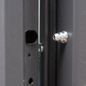 Vchodové dveře antracitové 110 x 207,5 cm hliník,  3190528