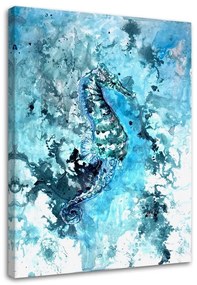 Gario Obraz na plátně Malovaný mořský koník - Marta Horodniczy Rozměry: 40 x 60 cm