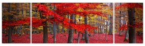 Obraz - Červený les (170x50 cm)