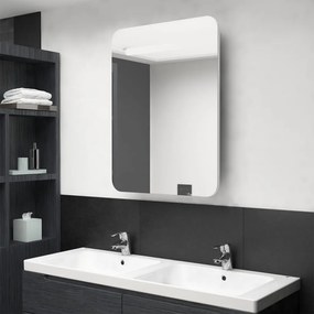 LED koupelnová skříňka se zrcadlem zářivě bílá 60 x 11 x 80 cm 326509