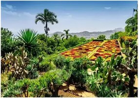 Ravensburger Kouzlené zahrady: Botanická zahrada: Madeira / 1000 dílků