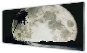akrylový obraz Noc Měsíc Palma Krajina 125x50 cm