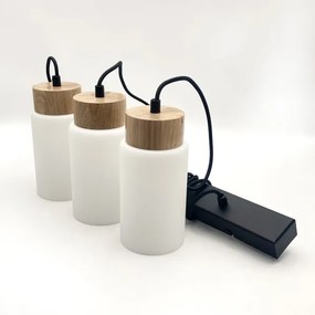 Lustr na lanku MARKUS 3xE27/15W/230V černá/dub
