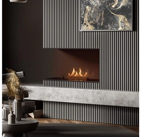 Planika Senso Fireplace BEV- Vestavěný BIO krb 56,2x75 cm 2,5kW+dálkové ovládání