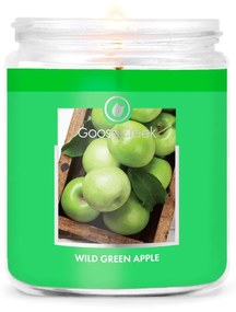 Goose Creek Candle svíčka Wild Green Apple, 198 g