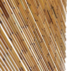 vidaXL Dveřní závěs proti hmyzu, , bambus, 100x220 cm [43723] Barva: Hnědá