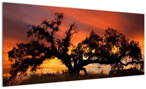 Strom v krajině - obraz (100x40cm)