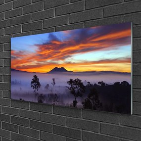 Obraz na skle Stromy Mlha Krajina 100x50 cm