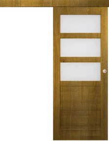 posuvné interiérové dveře na stěnu vasco doors BRAGA model 4 Průchozí rozměr: 70 x 197 cm, Orientace dveří: Levé dveře, Dekor: Dub Santa